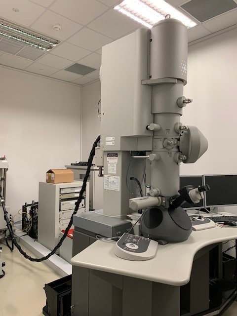 Electron/ Ion microscopy: TEM (FEI Tecnai G2 TF20) - A*STAR Scientific ...